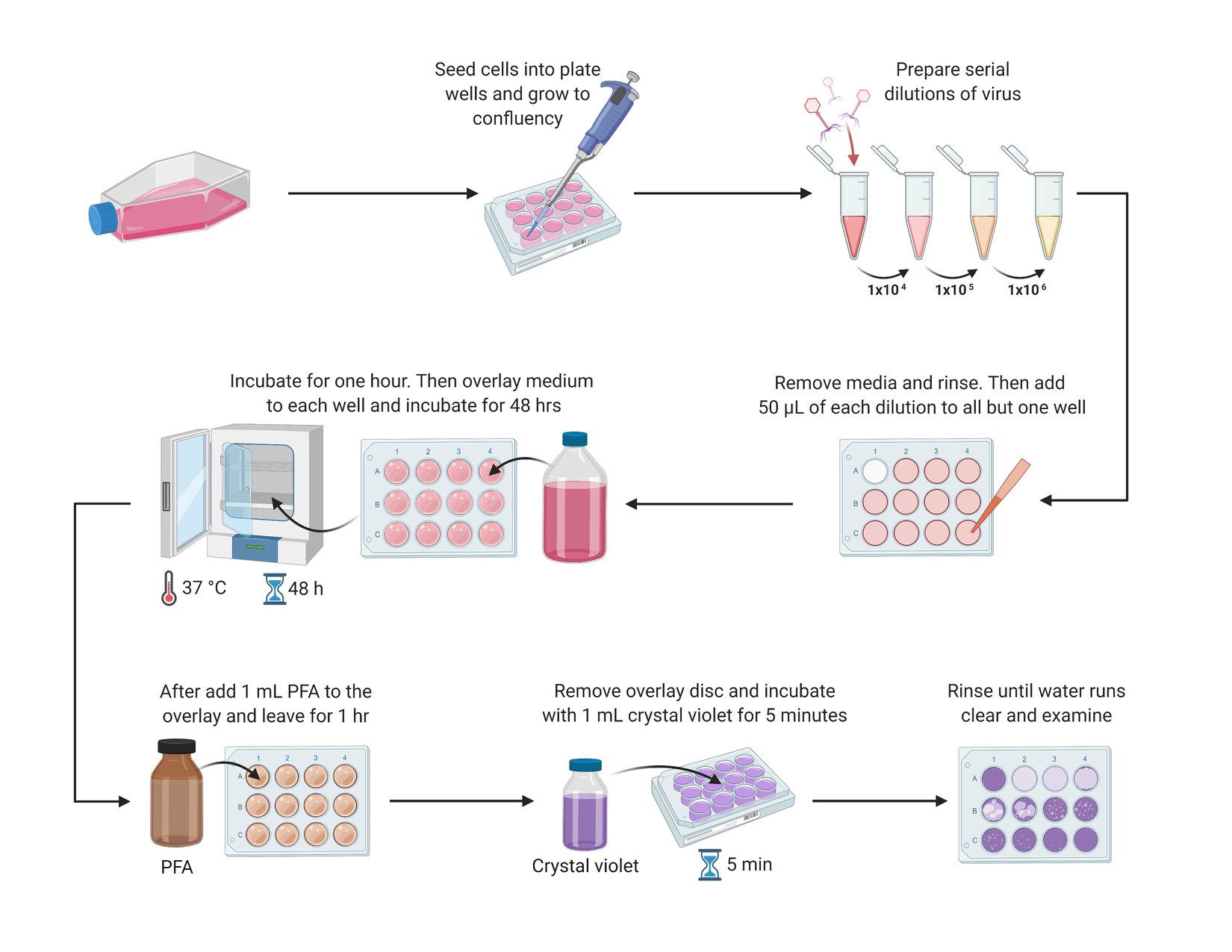 Viral Quantification Methods Viral Quantification Methods